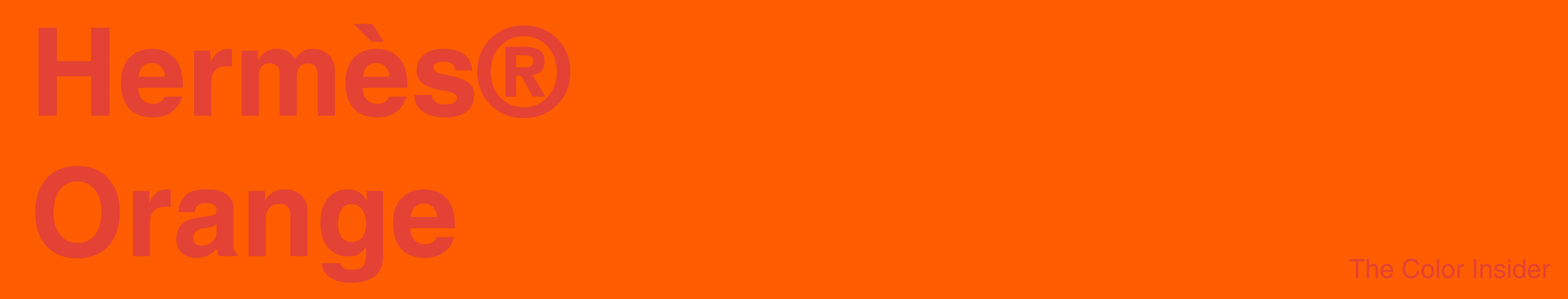 Hermès® Orange - Color Insider