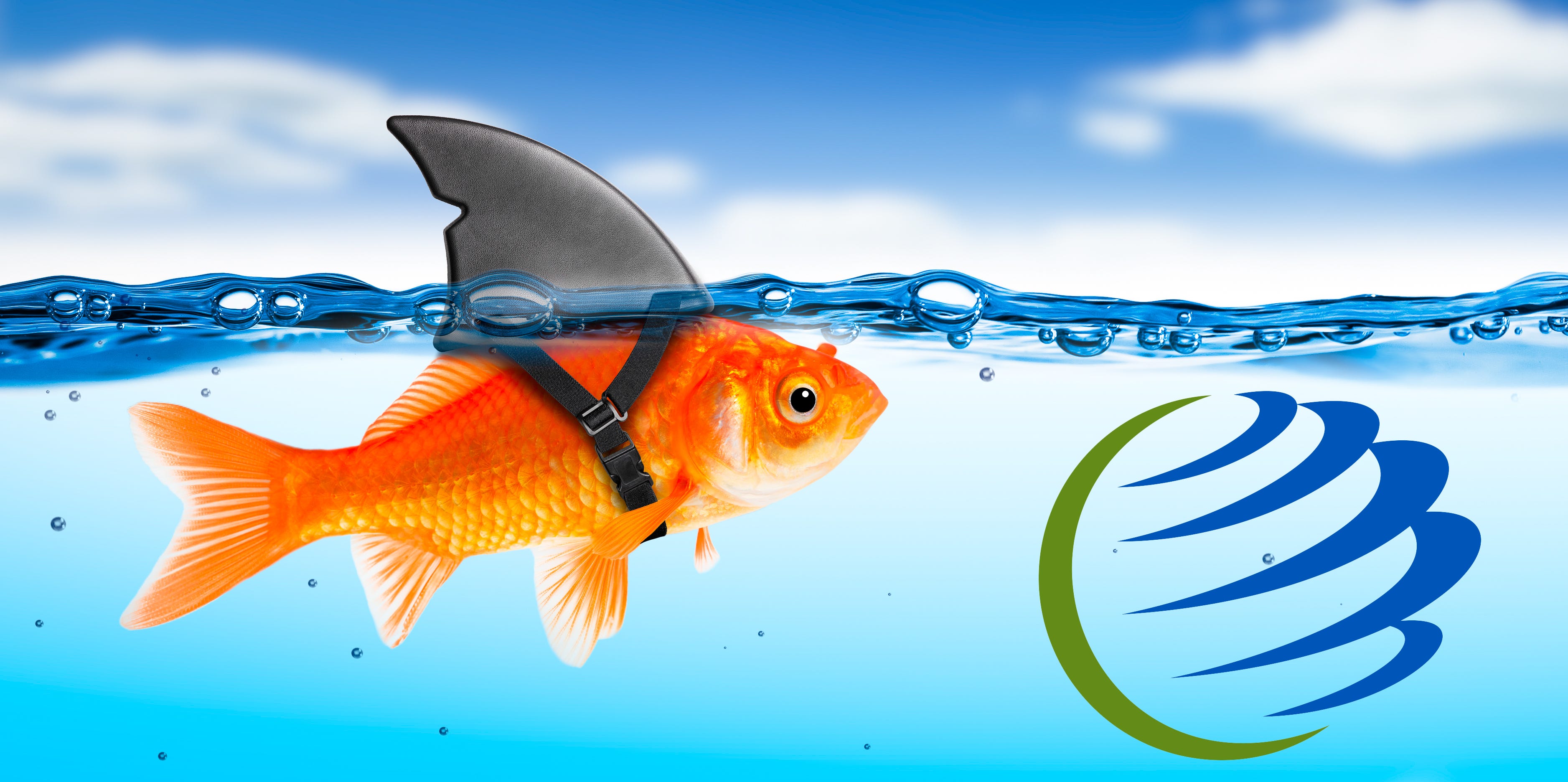 A popular Mexican bank jumps the shark - by Mike Leavy