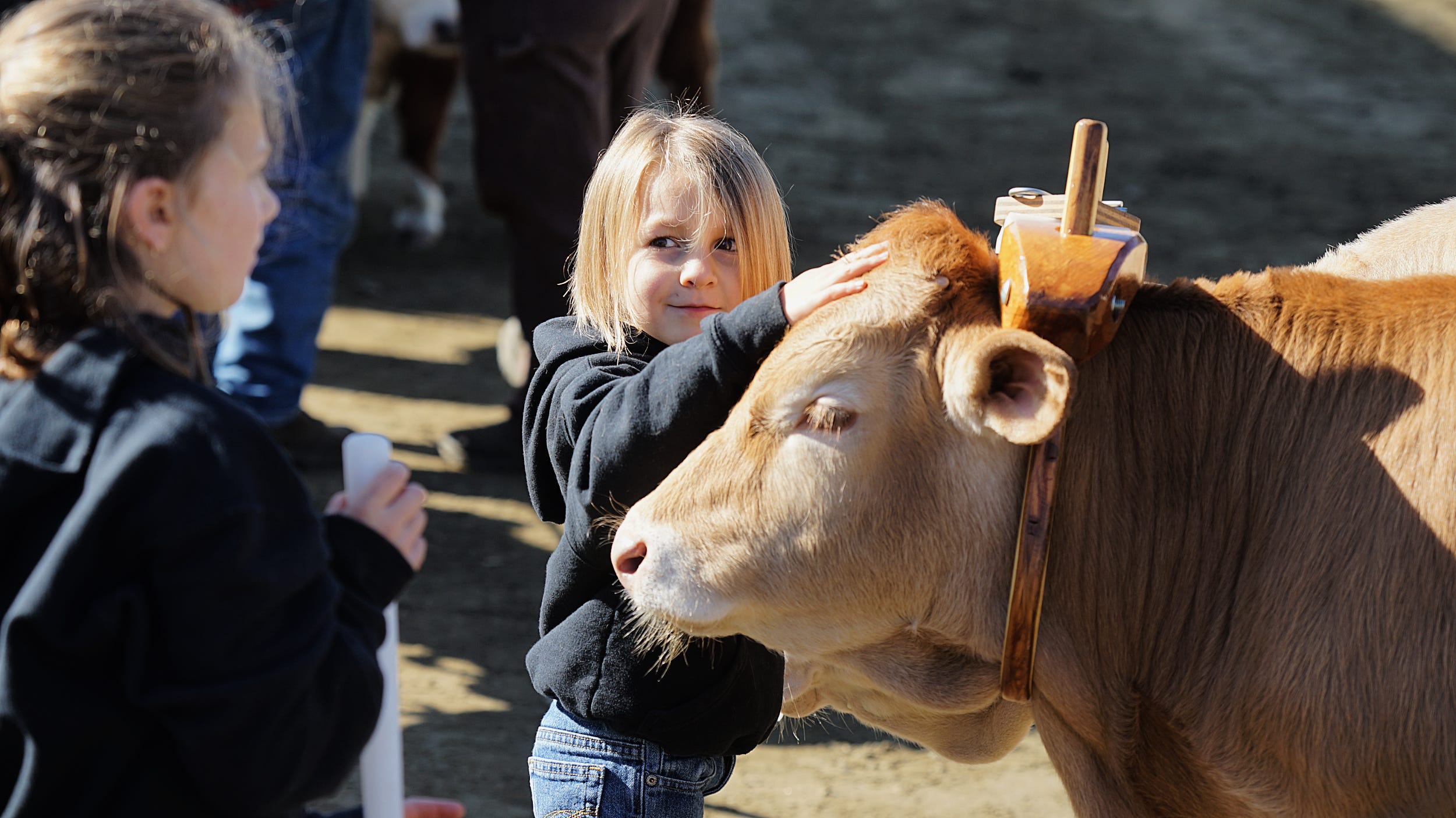 Telling Stories for the Senses - by Geoffrey Gevalt