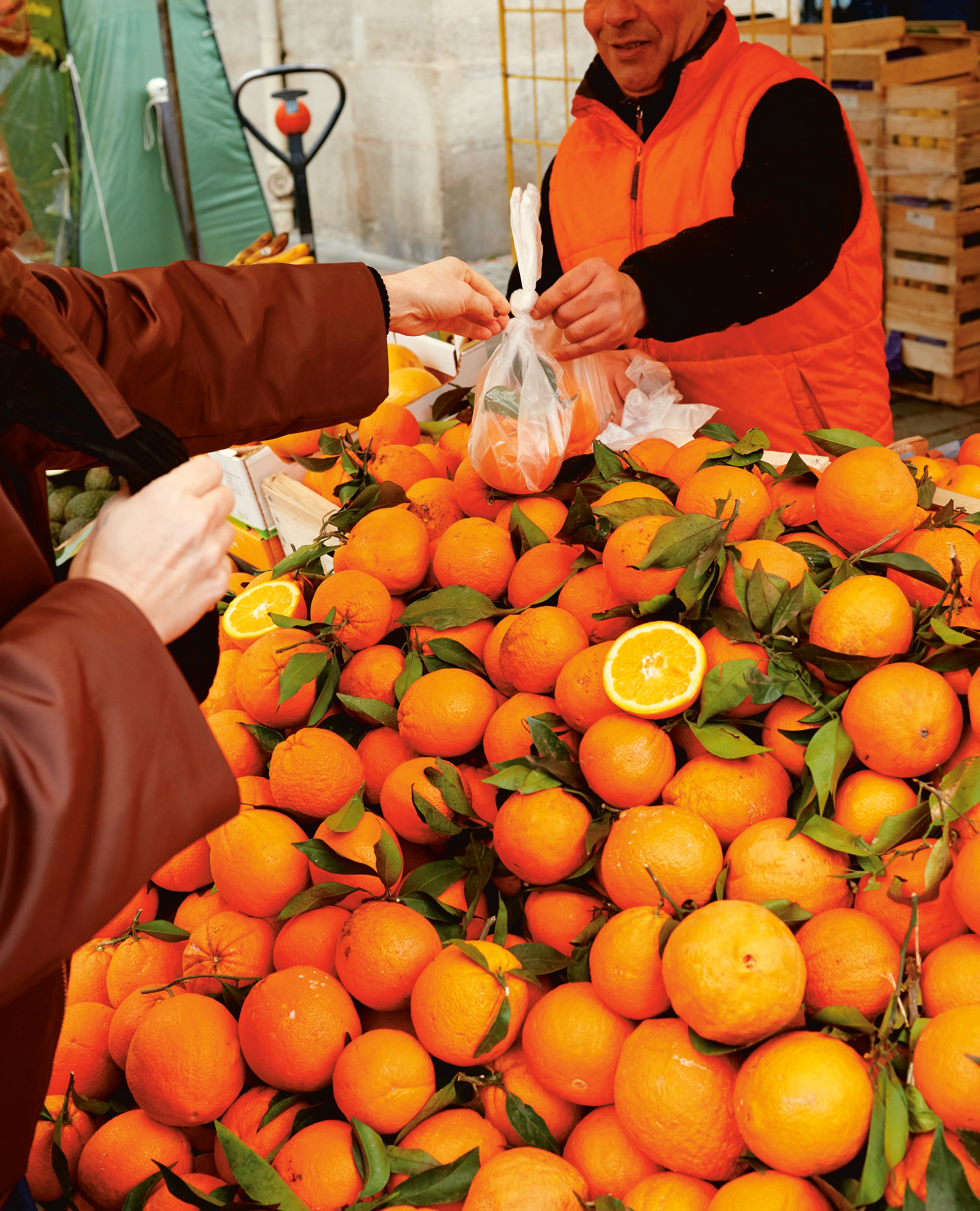 NATURE'S CANDY (back) Cover Reveal! - Camilla Wynne Missive