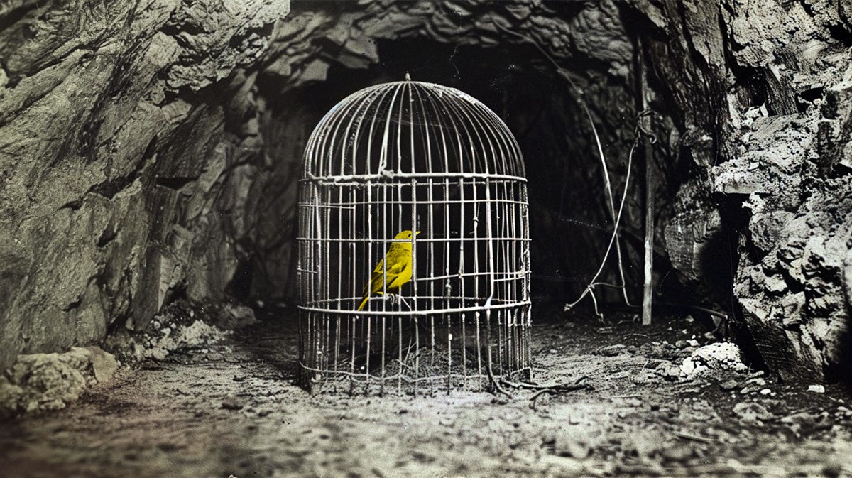 Canary in a Coal Mine - by Ben Wakeman - Catch & Release