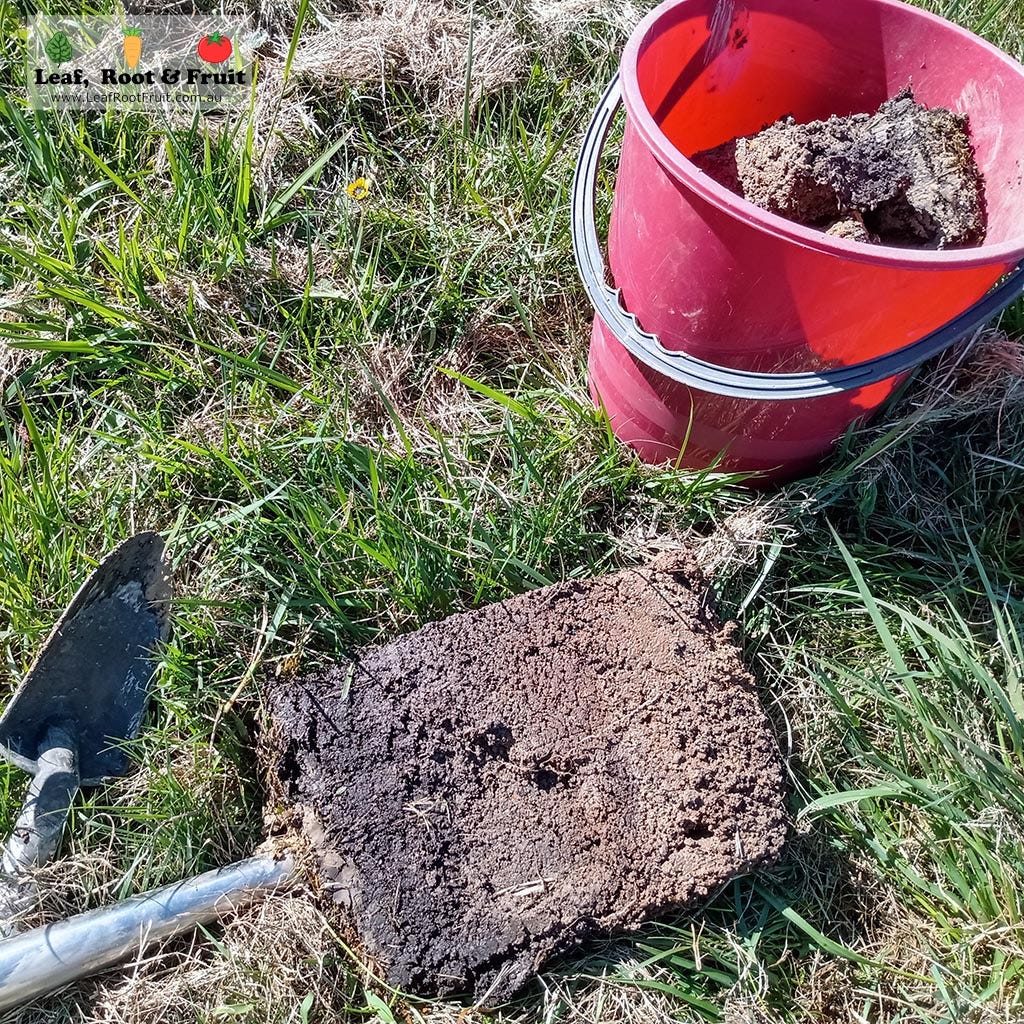 Identifying Nutrient Deficiencies in Soil and Plants