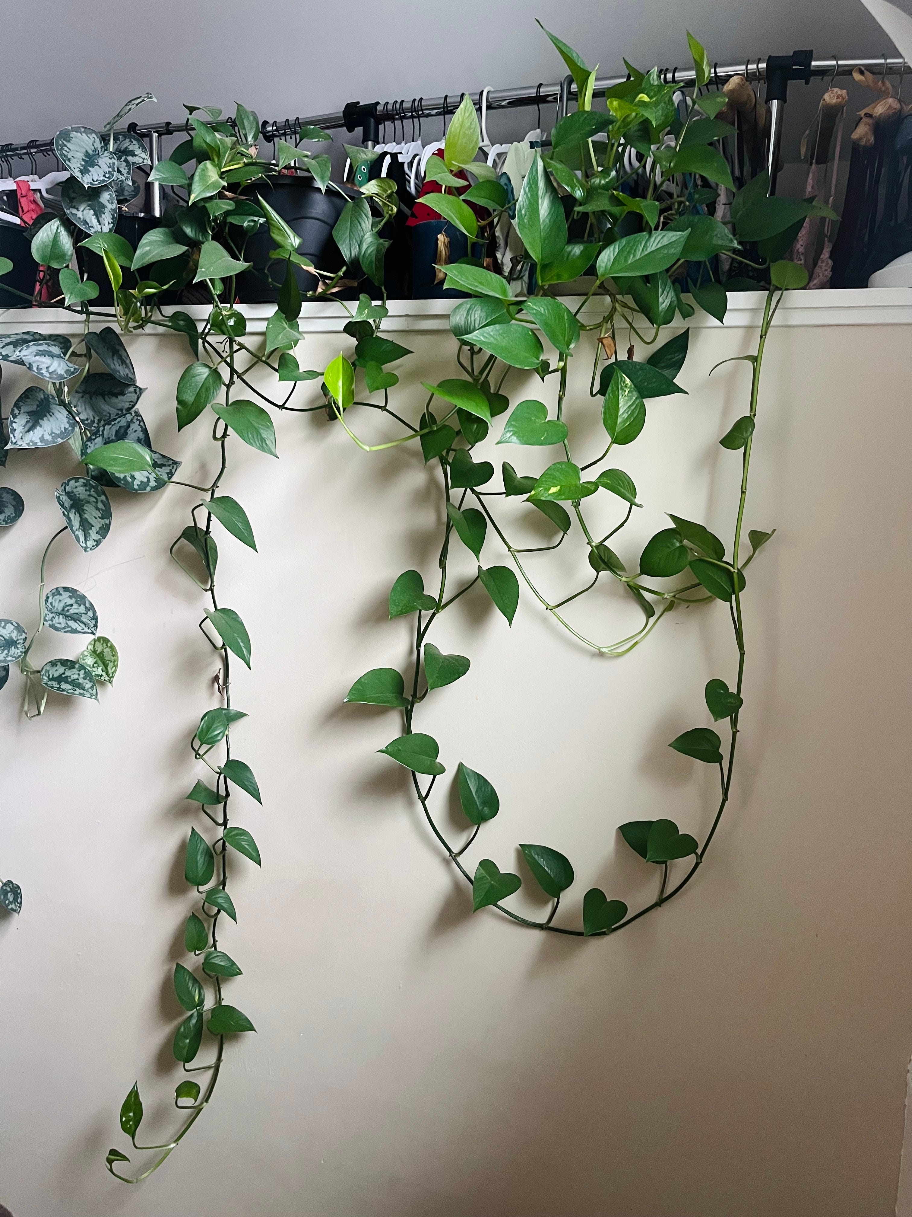 dear diary: 2 - by Julie Beans - Juliebeans