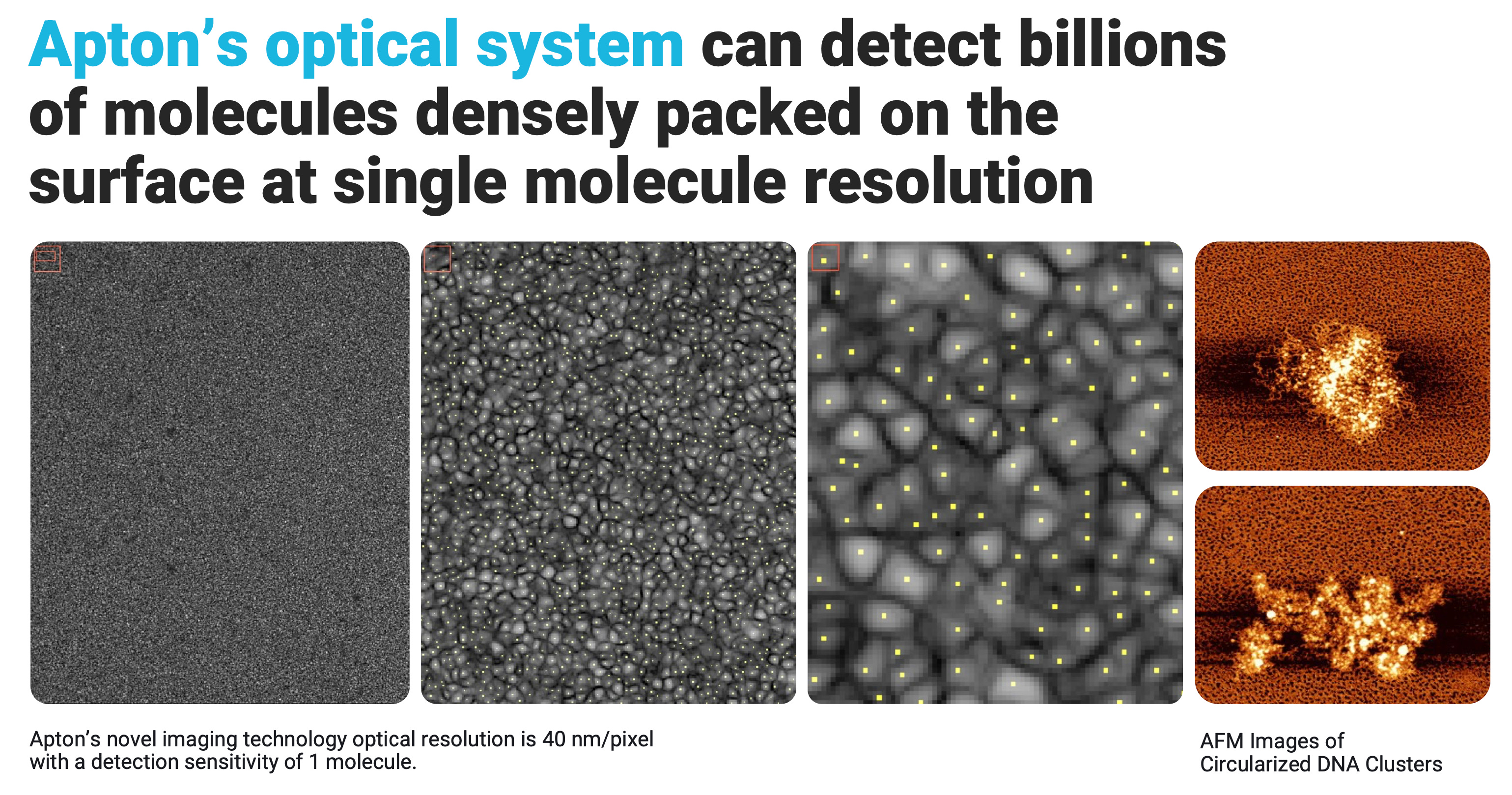 PacBio Acquires Apton! - by Nava Whiteford