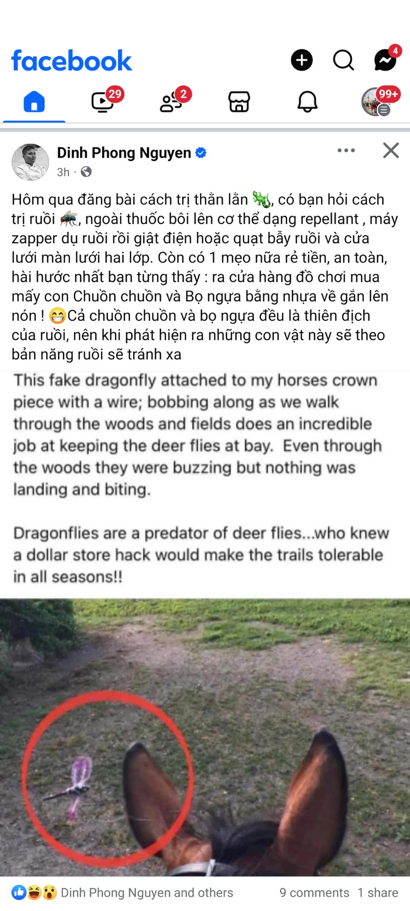 Dragonfly - by RetoK - Chiankhanh