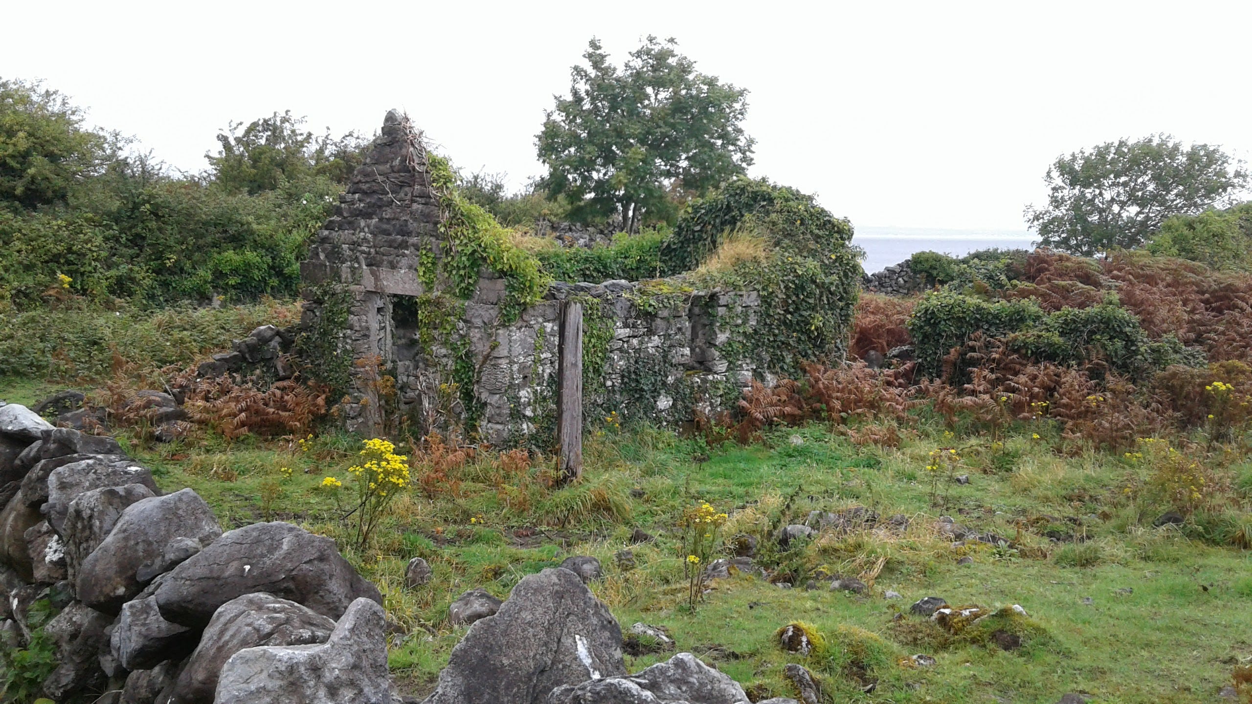 Every "Famine" is a Political Choice