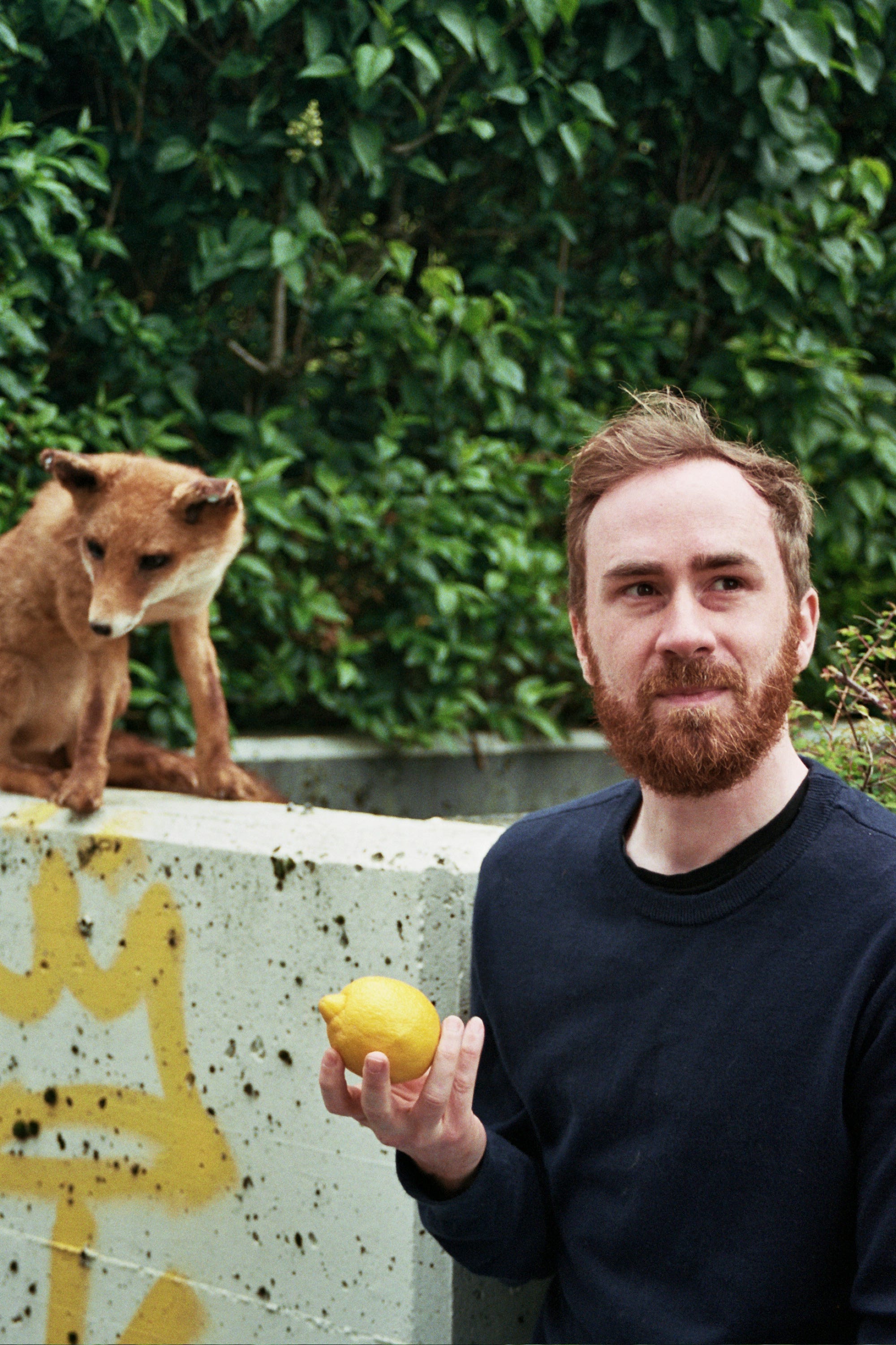 Vincent Merckx | Substack