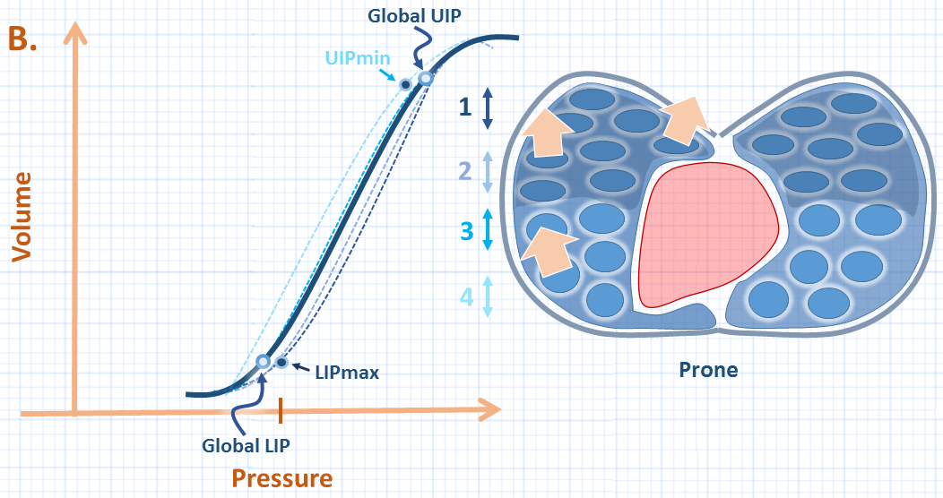 ICU Physiology in 1000 Words: The Respiratory System Pressure-Volume Curve