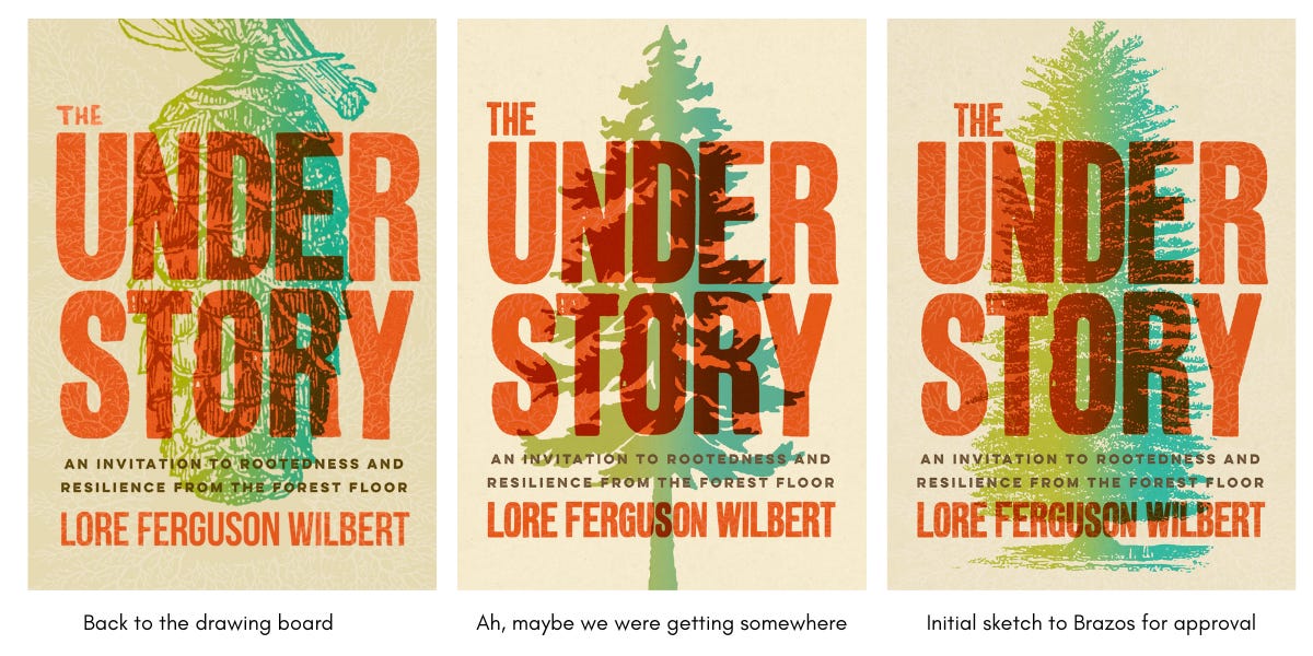Evolution of a book title + cover - by Lore Wilbert