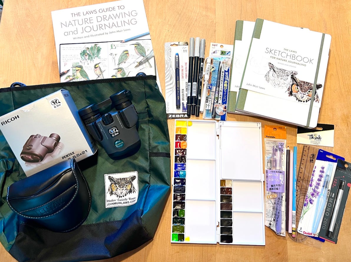 Intro to Nature Journaling - by Wendy MacNaughton