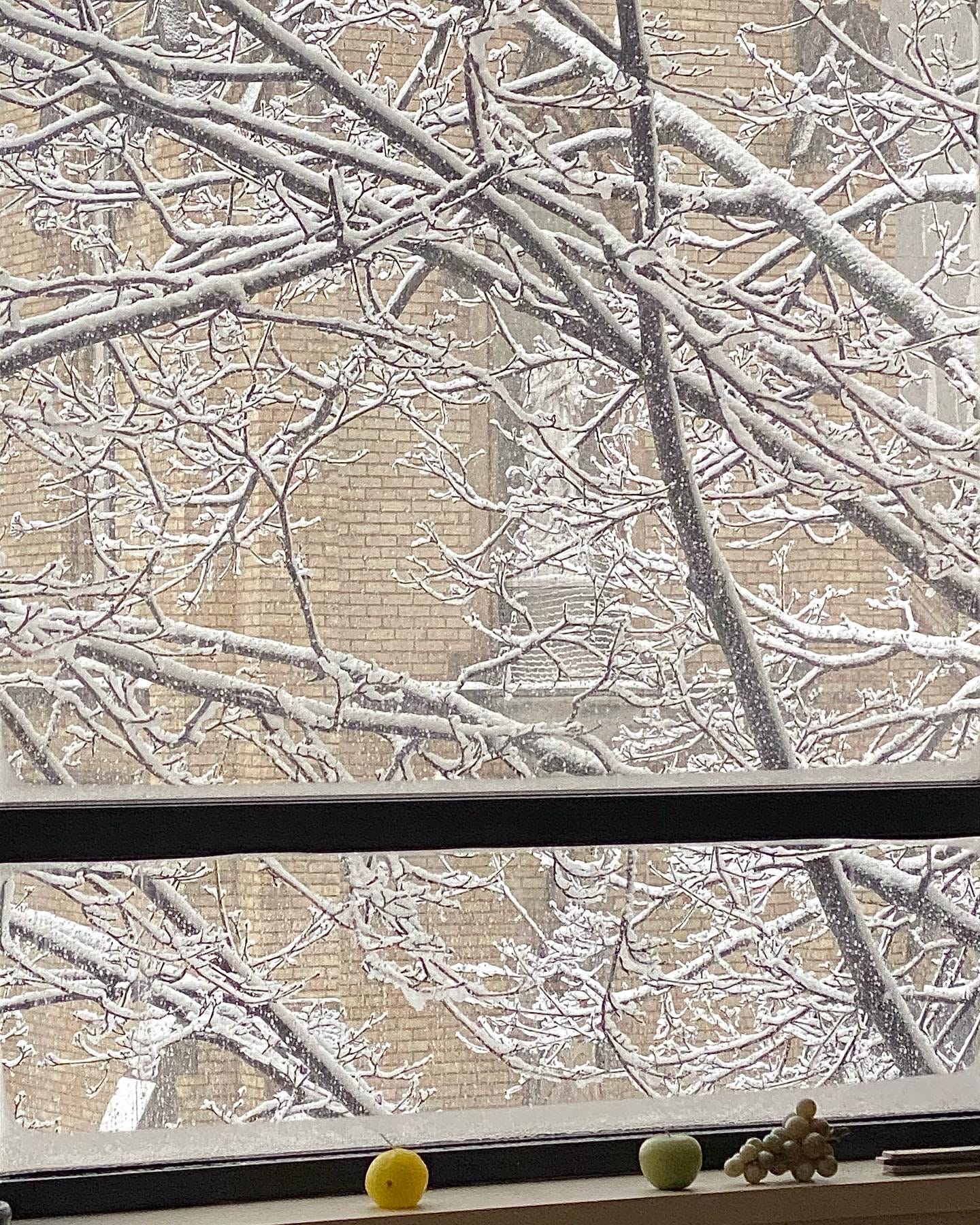 Chilly Scenes of Winter - by Katie Merchant