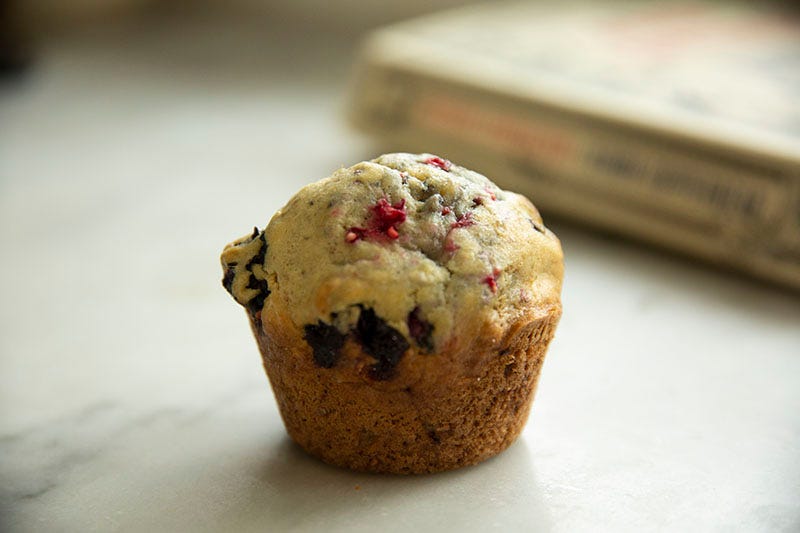 Demon Copperhead & Sourdough Muffins - by Hannah Griffin