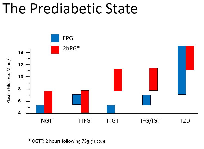 "Prediabetes" in athletes - by Dr Nicola Guess