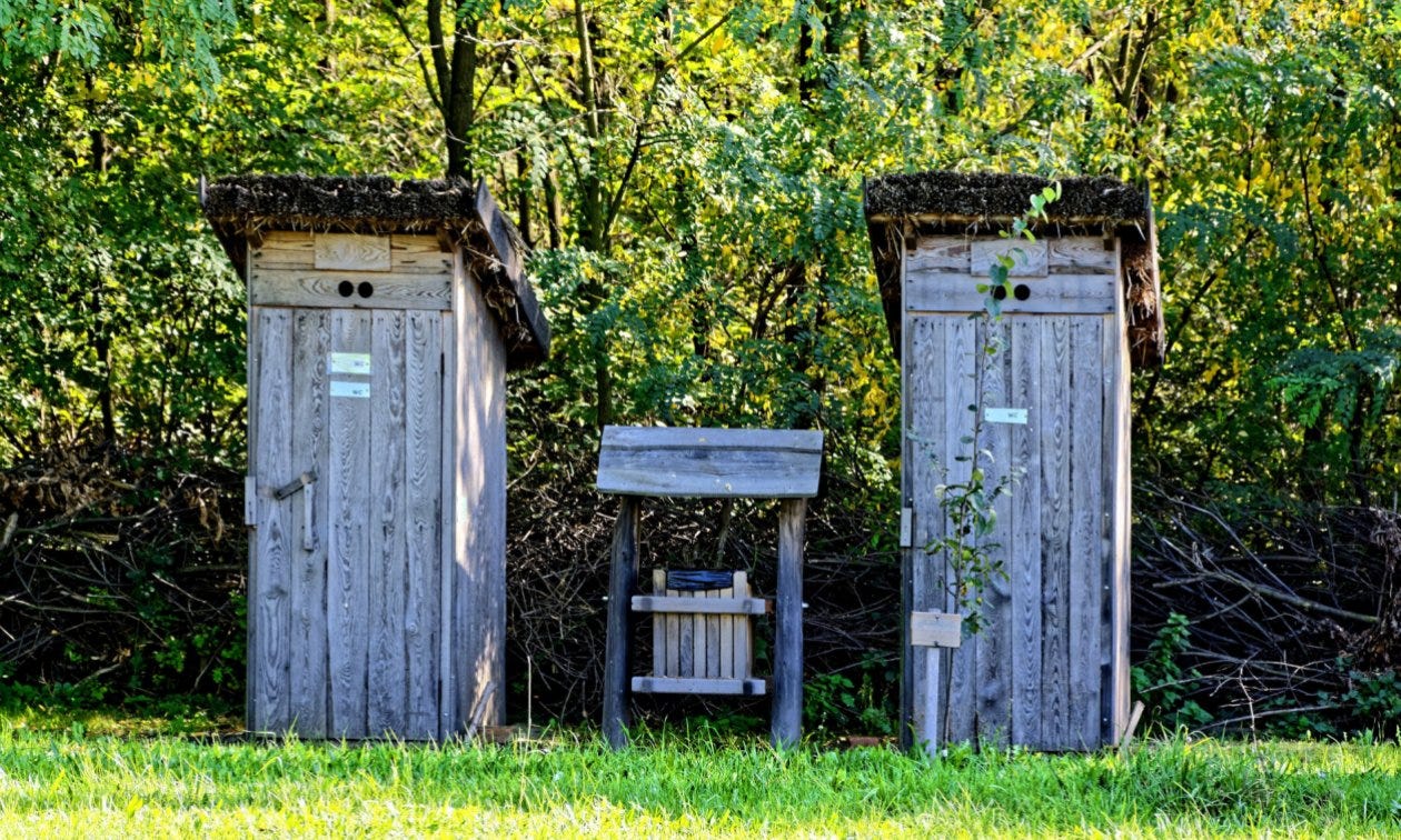 "Non vi piace il benessere dell'Occidente? Provate il cesso siberiano ...