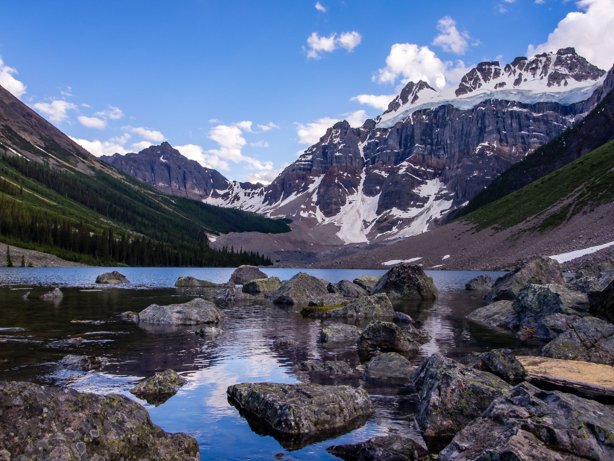 A Complete Guide to Tenets - by Dave Anderson - Scarlet Ink