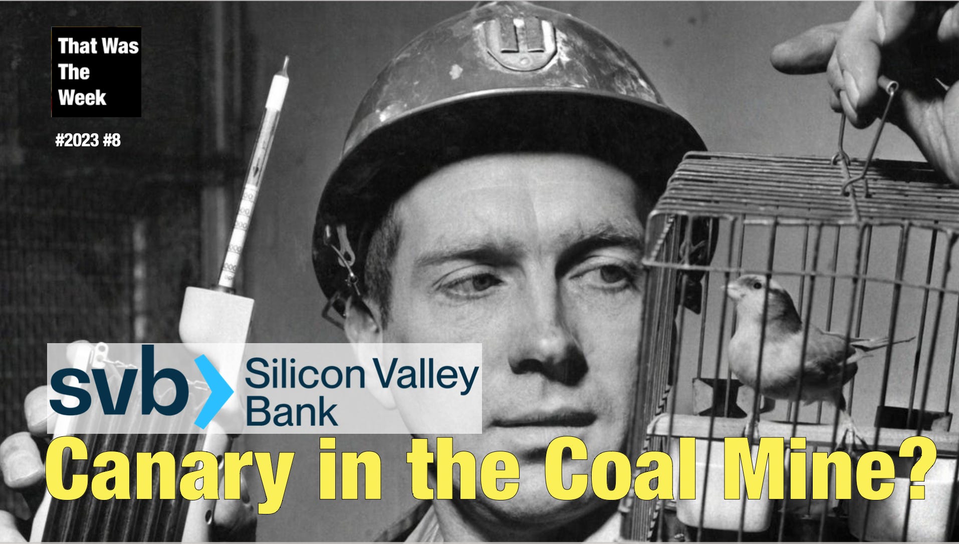 Silicon Valley Bank: Canary in the Coal Mine?