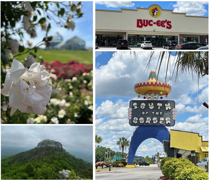 The Joys of Road Tripping - by Jennifer Tiedemann