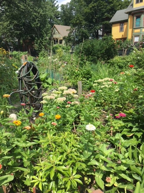 The Garden of Substack - A Celebration of Community