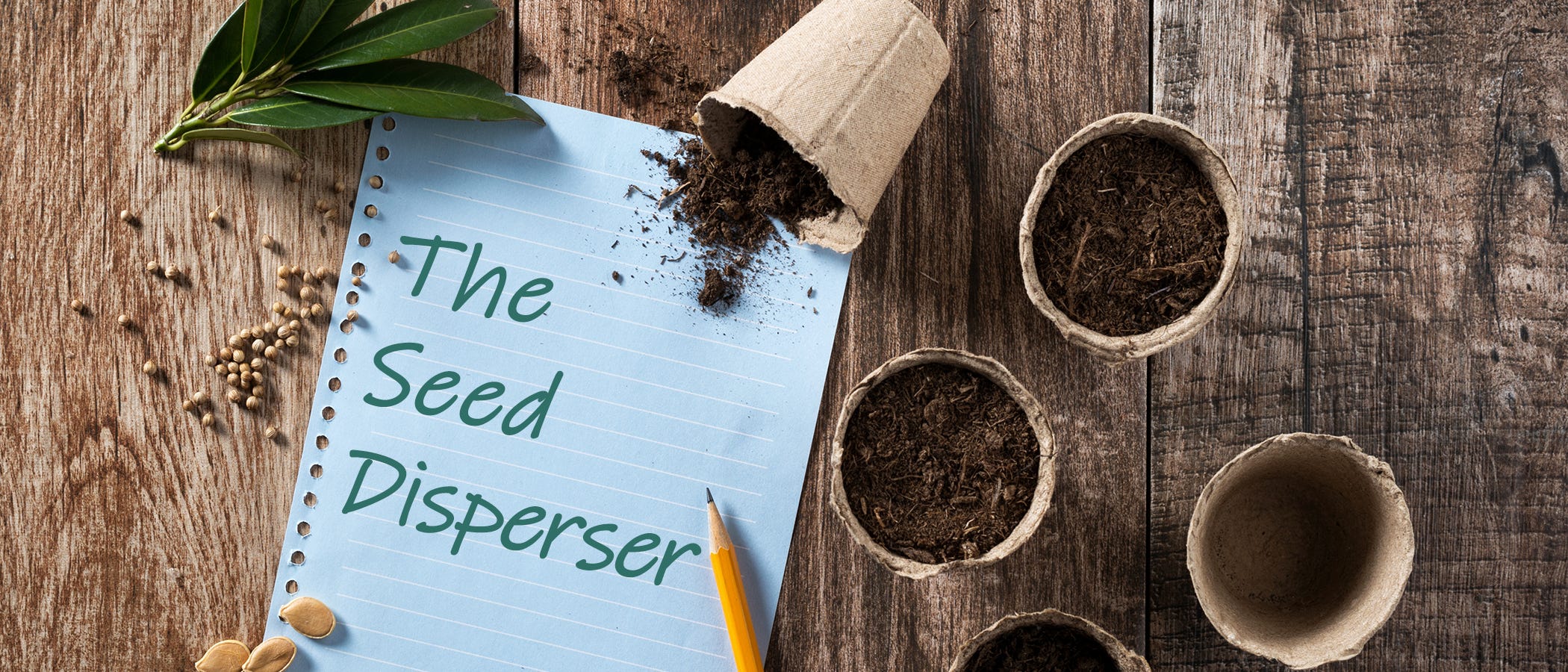 The Seed Disperser - June 2024 - by Kereru Publishing