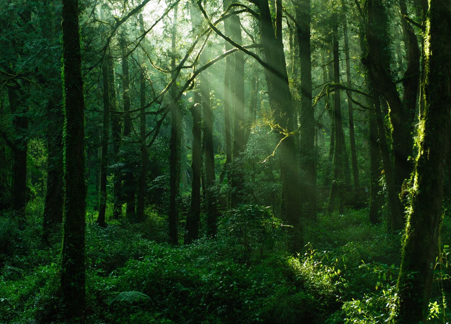 💊 Africa CDC's grouse with Pandemic Fund allocations; Biogen bulks up ...