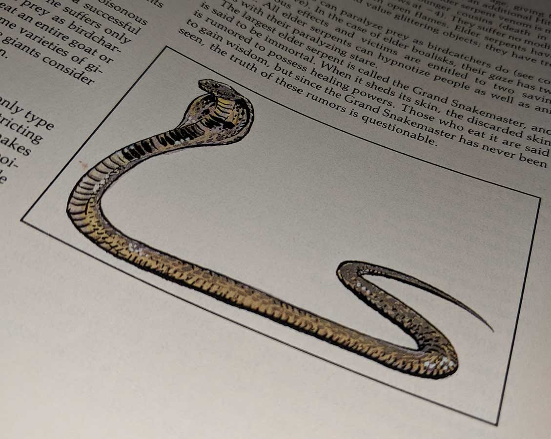 Dungeons & Dragons Monster Cards – Giant Constrictor Snake