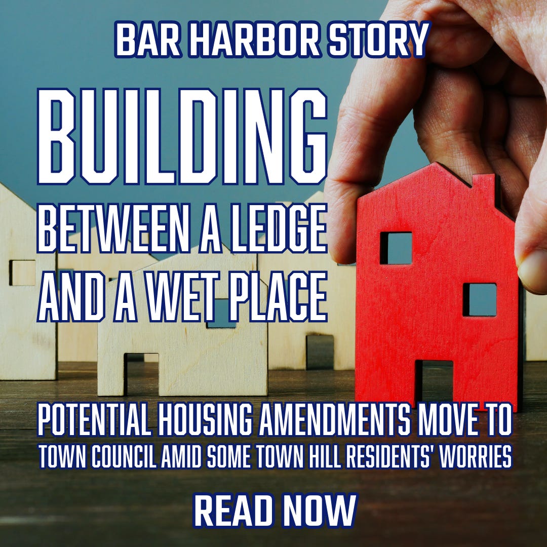 Building Between a Ledge and A Wet Place - by Carrie Jones