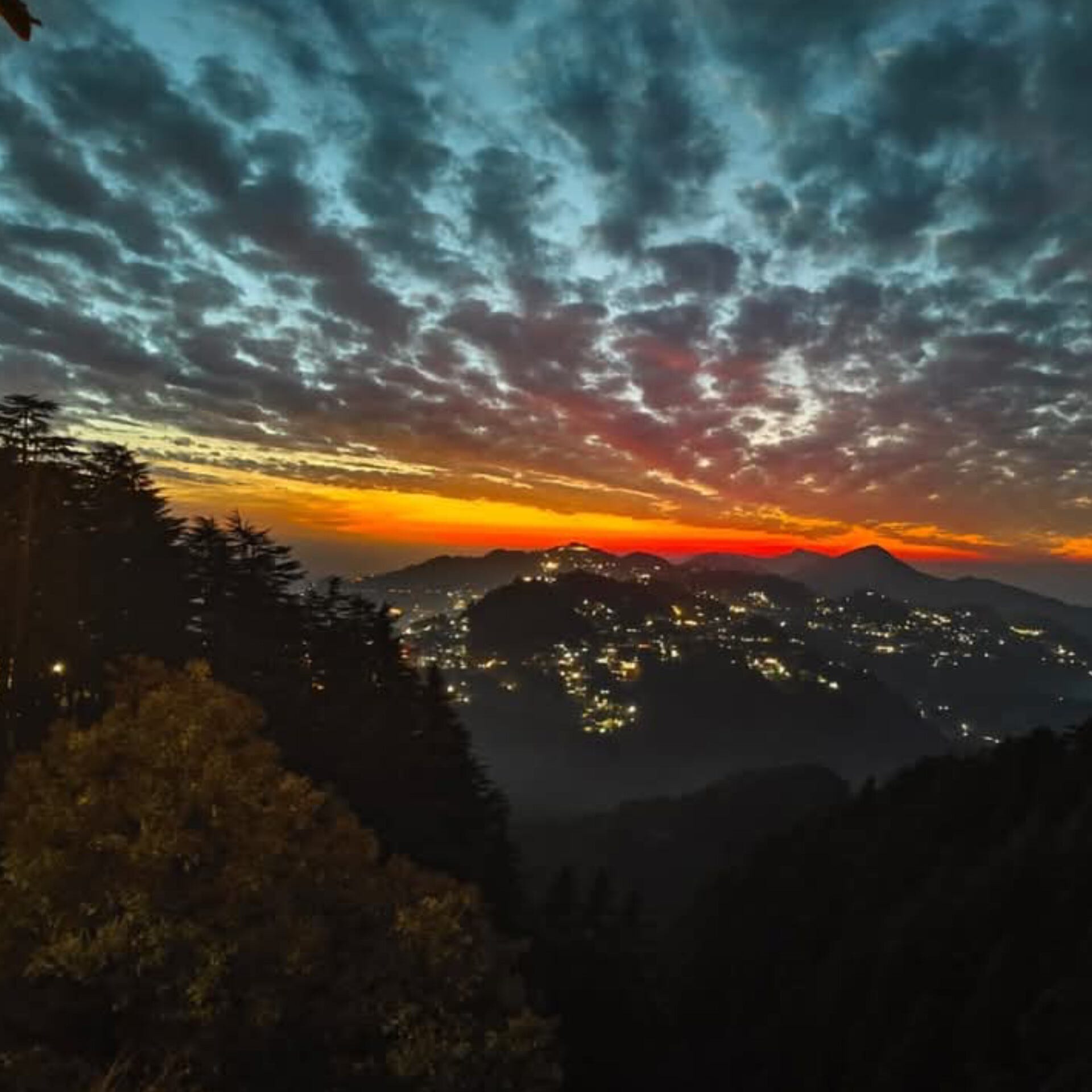 Unveiling the Natural Wonder of Winterline in Landour