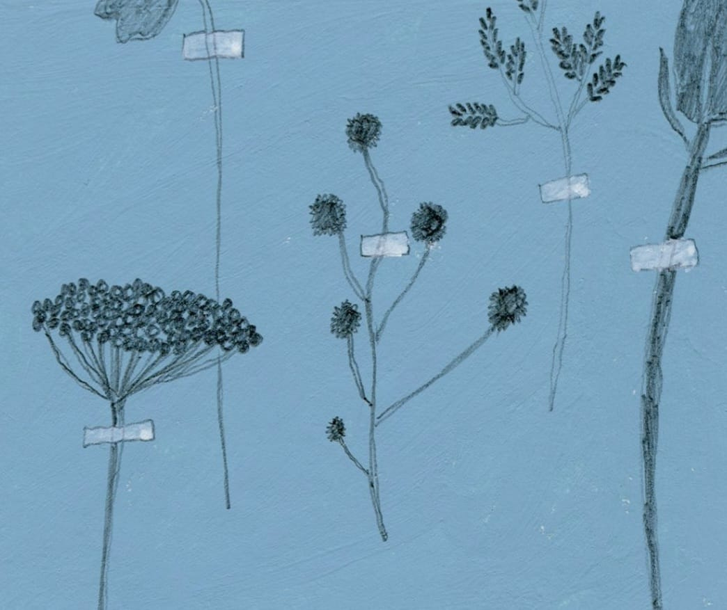 Creativity and alone time - Victoria’s Substack