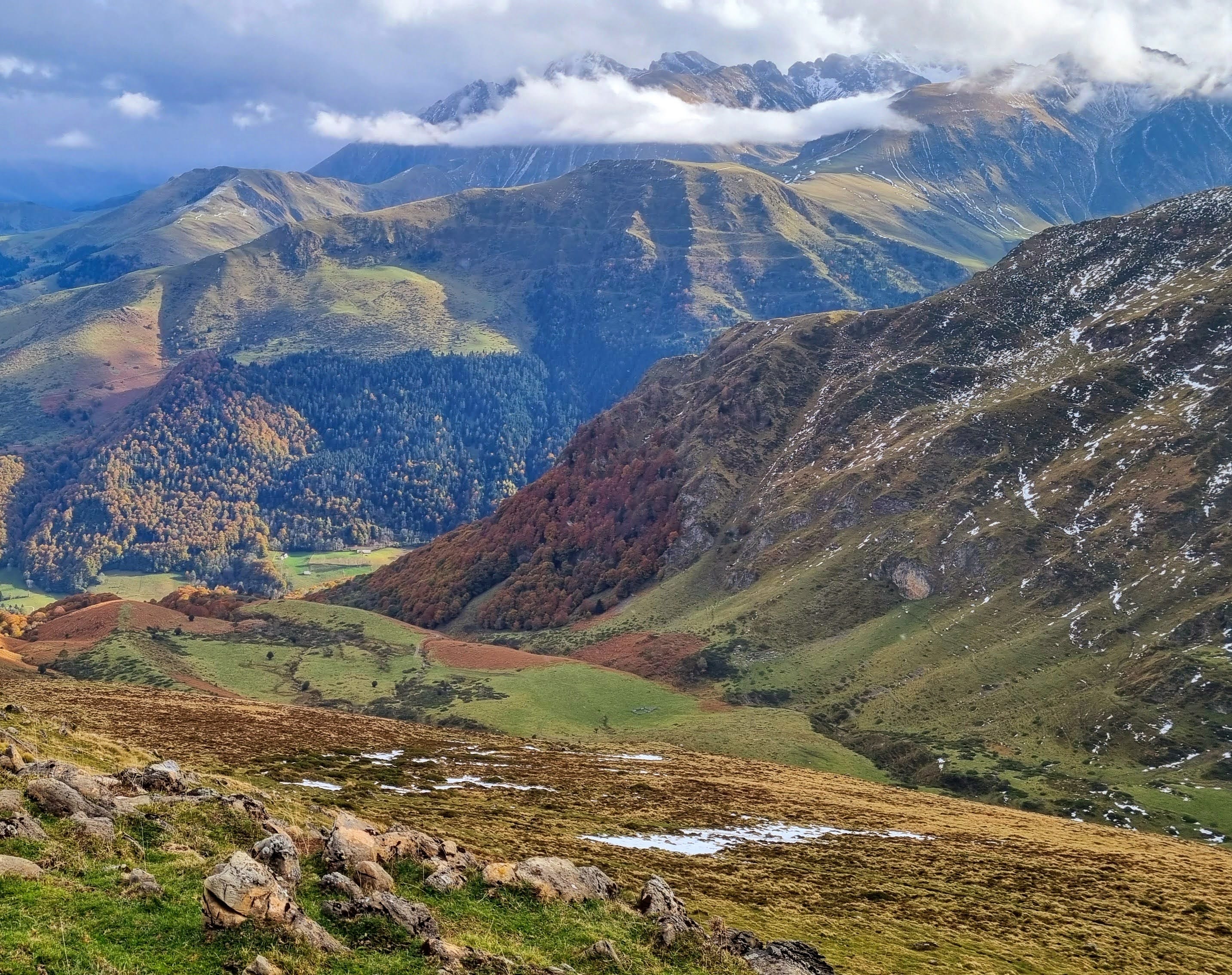 Return to Craft - by Ben Dhiman - The Speedhiman Substack