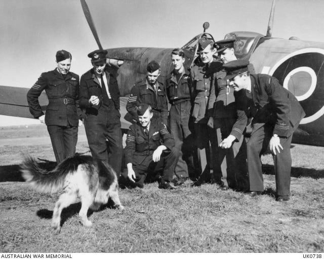 The 453 Squadron Boys - by Geneviève Hopkins