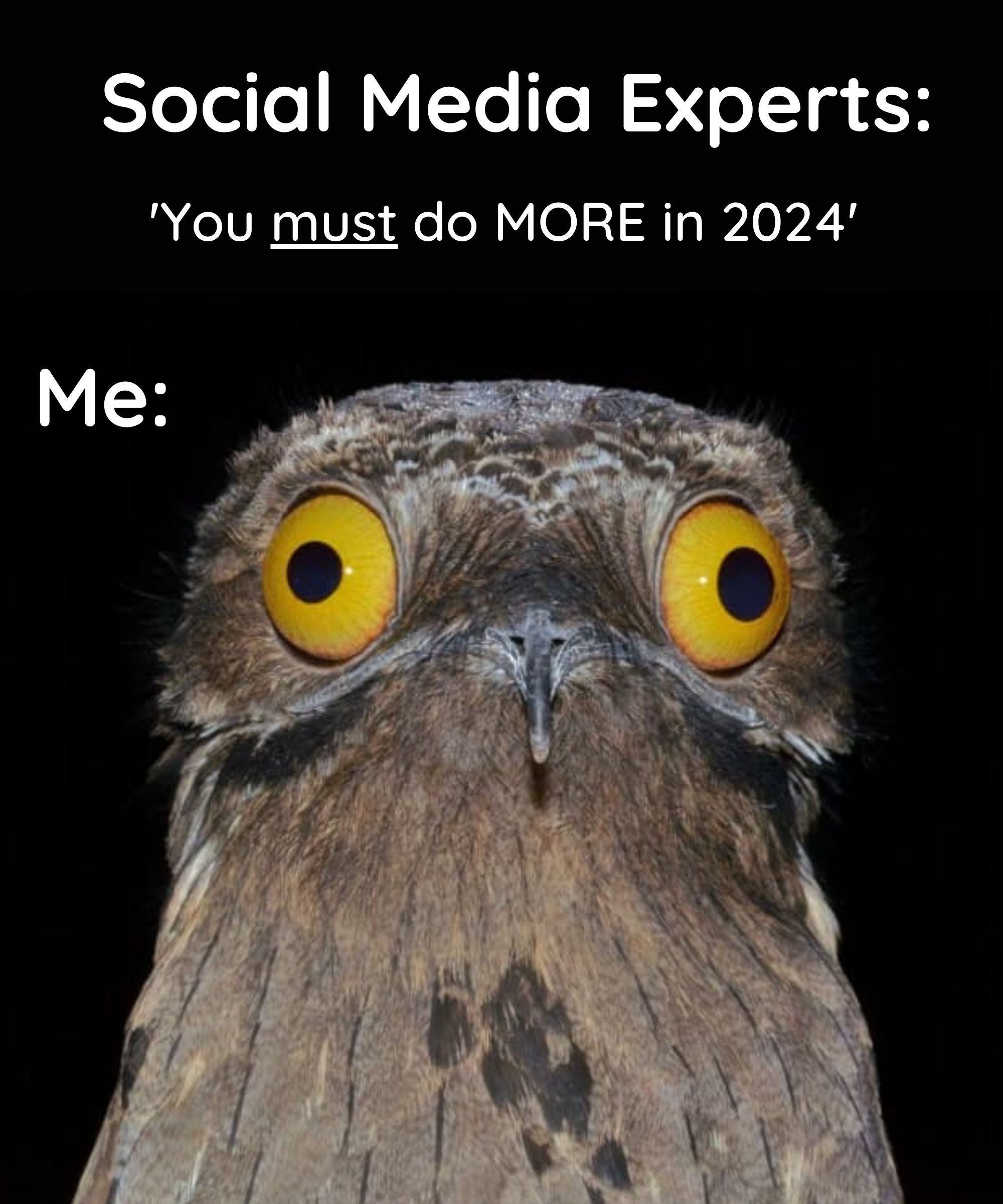 Beware of 'Oozlum Bird' Marketing - by Jemima