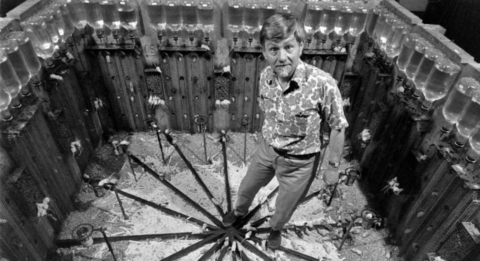 Modern Lessons from the Great Mouse Utopia Experiment