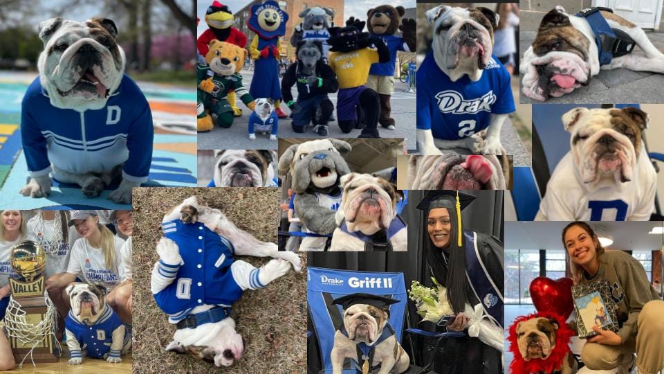 The power of a college mascot