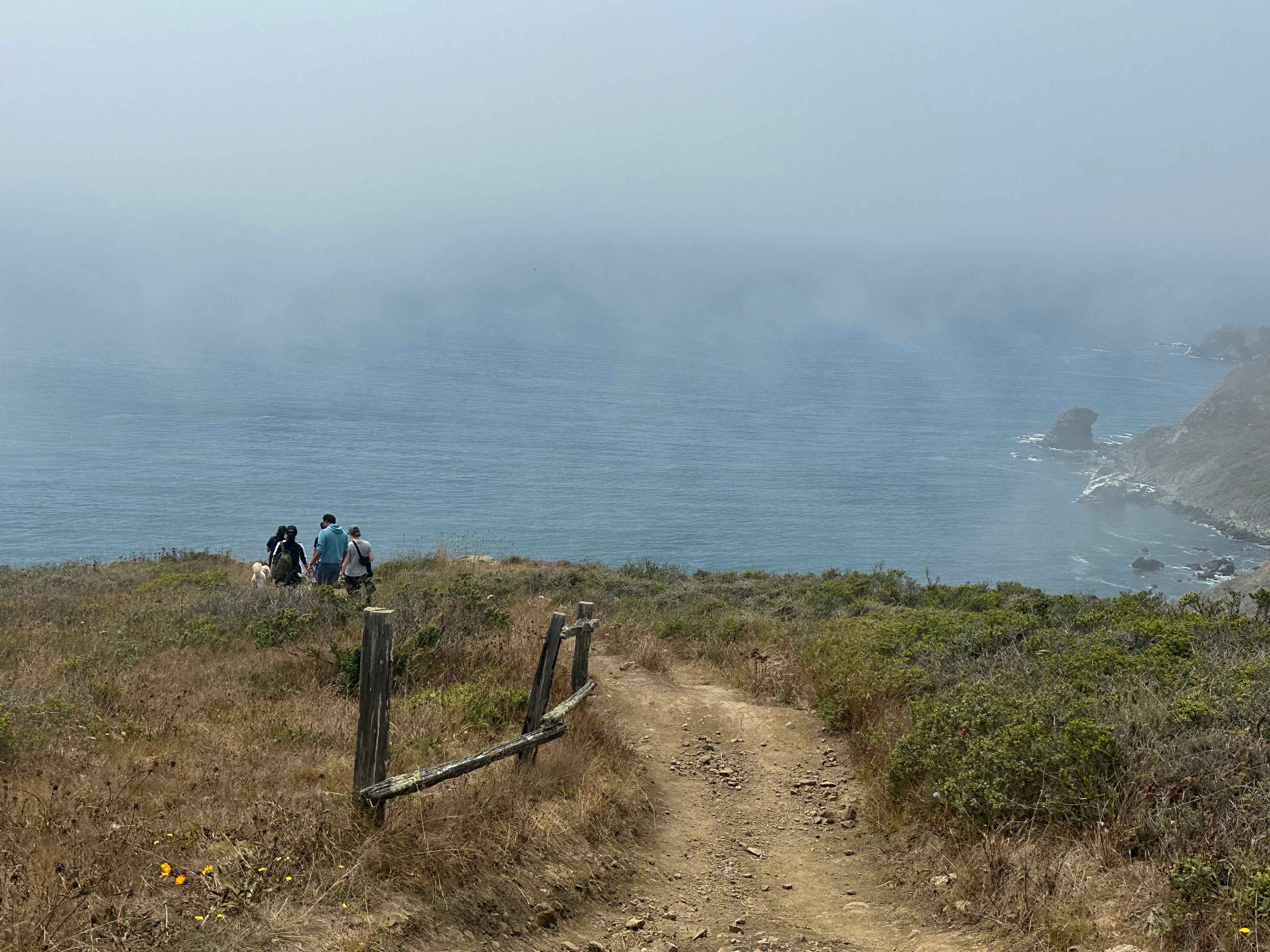 bookbear express | Ava | Substack