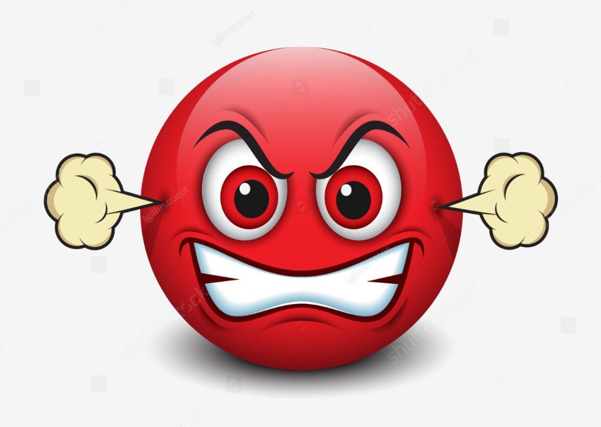 Temper Tantrums and Fits of Rage - by Nadine Templer