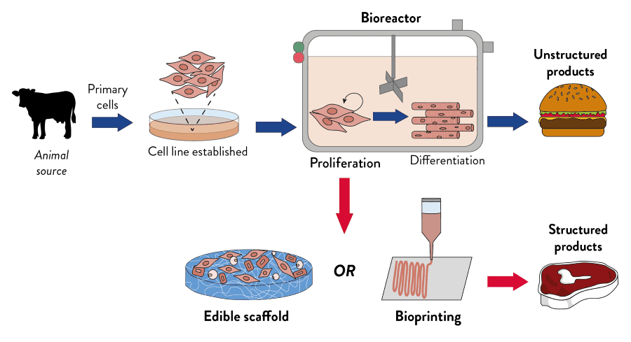 Top 10 Most Impactful Bioproducts - by Nate Crosser