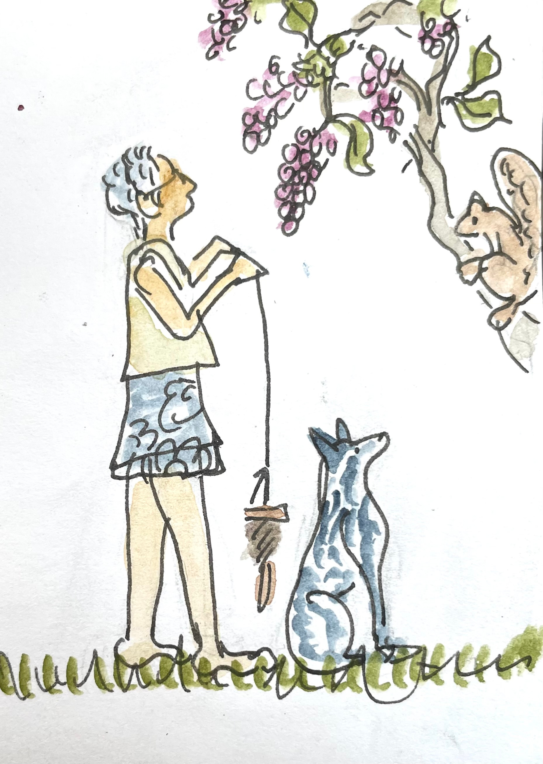 Sarah C Swett | Substack