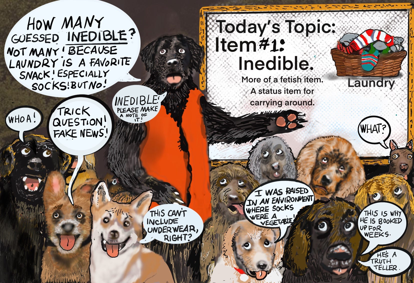 Summer School for Dogs:"Edible or Inedible?"