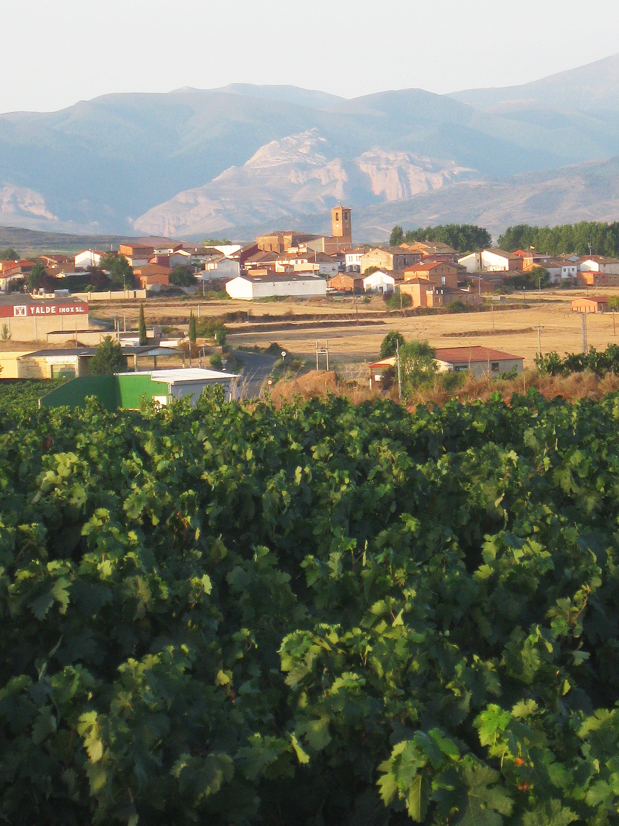 The Grape Harvest Festivals - Food and Fiesta