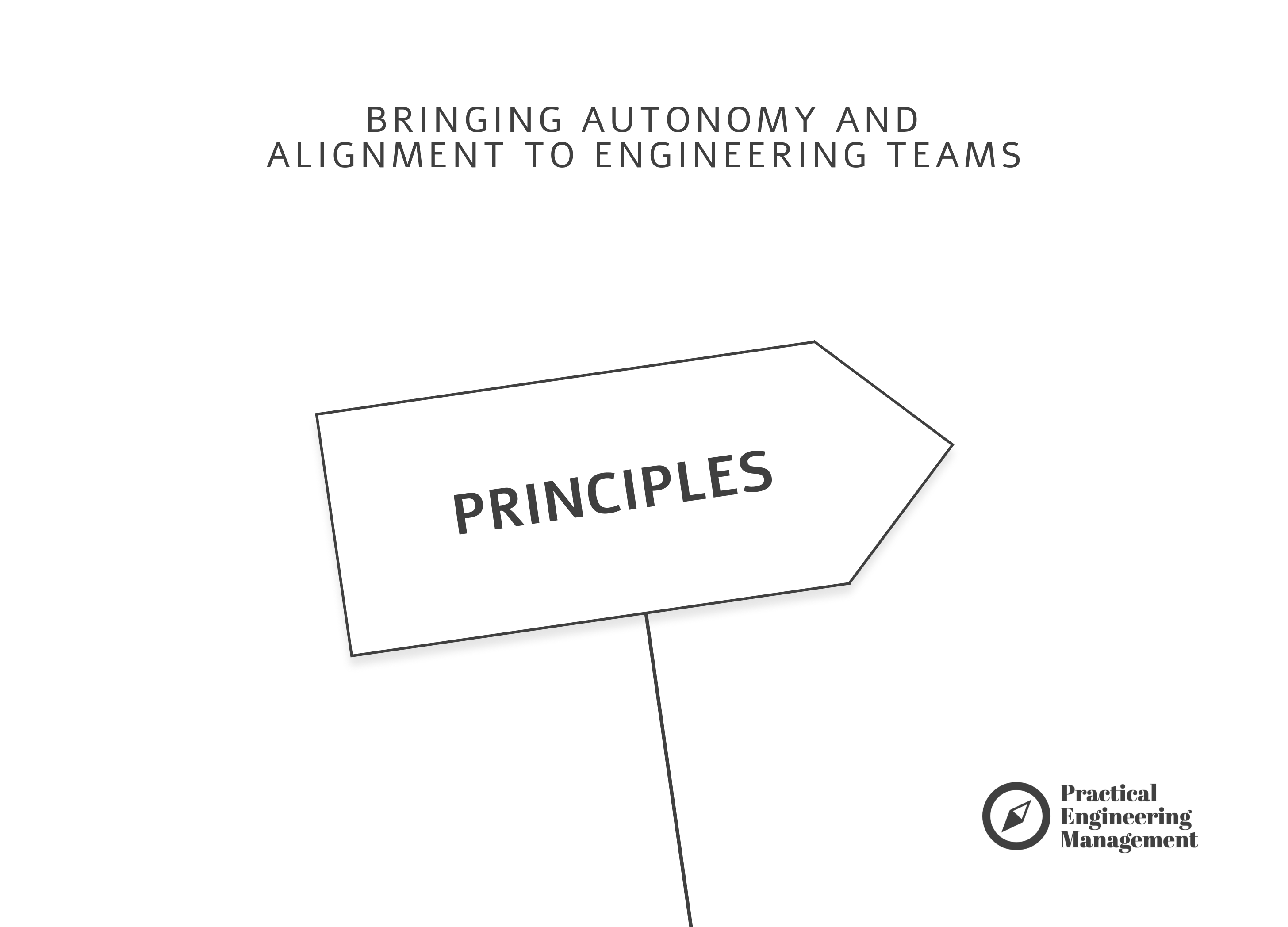 Principles - Guidelines for Your Team - by Mirek Stanek