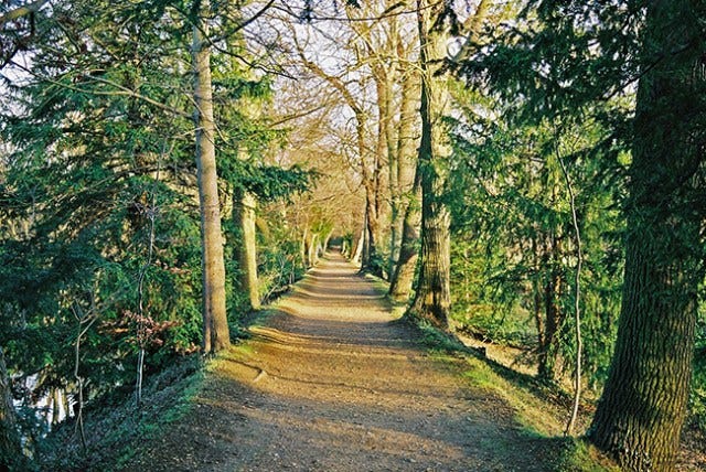 C.S. Lewis’ Sidecar Conversion - by Aaron Earls