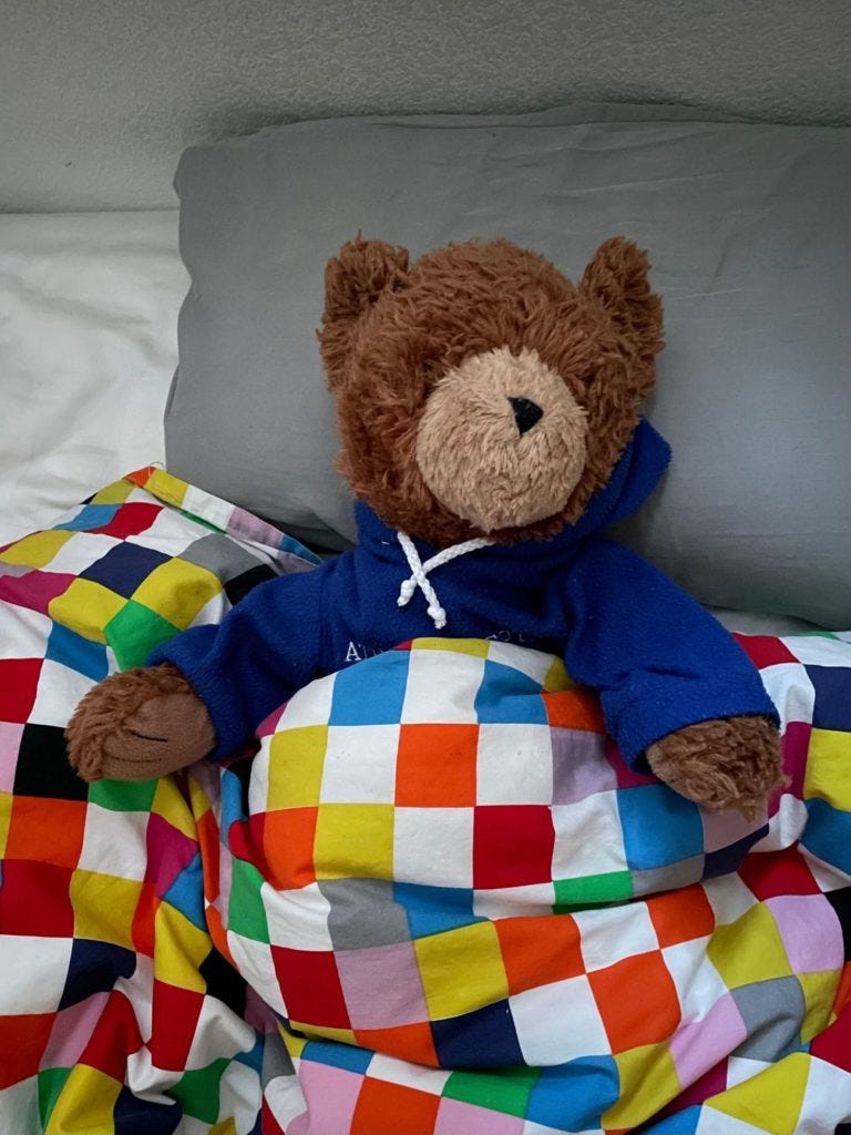 Feathery felines followed fluffy flamingos for finding forbidden fluffy ...