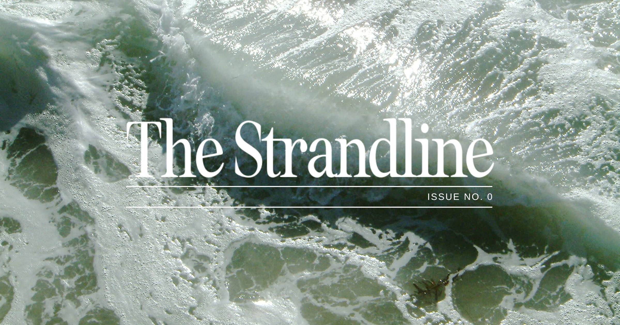 The Strandline - essays on nature, art, and citizen science