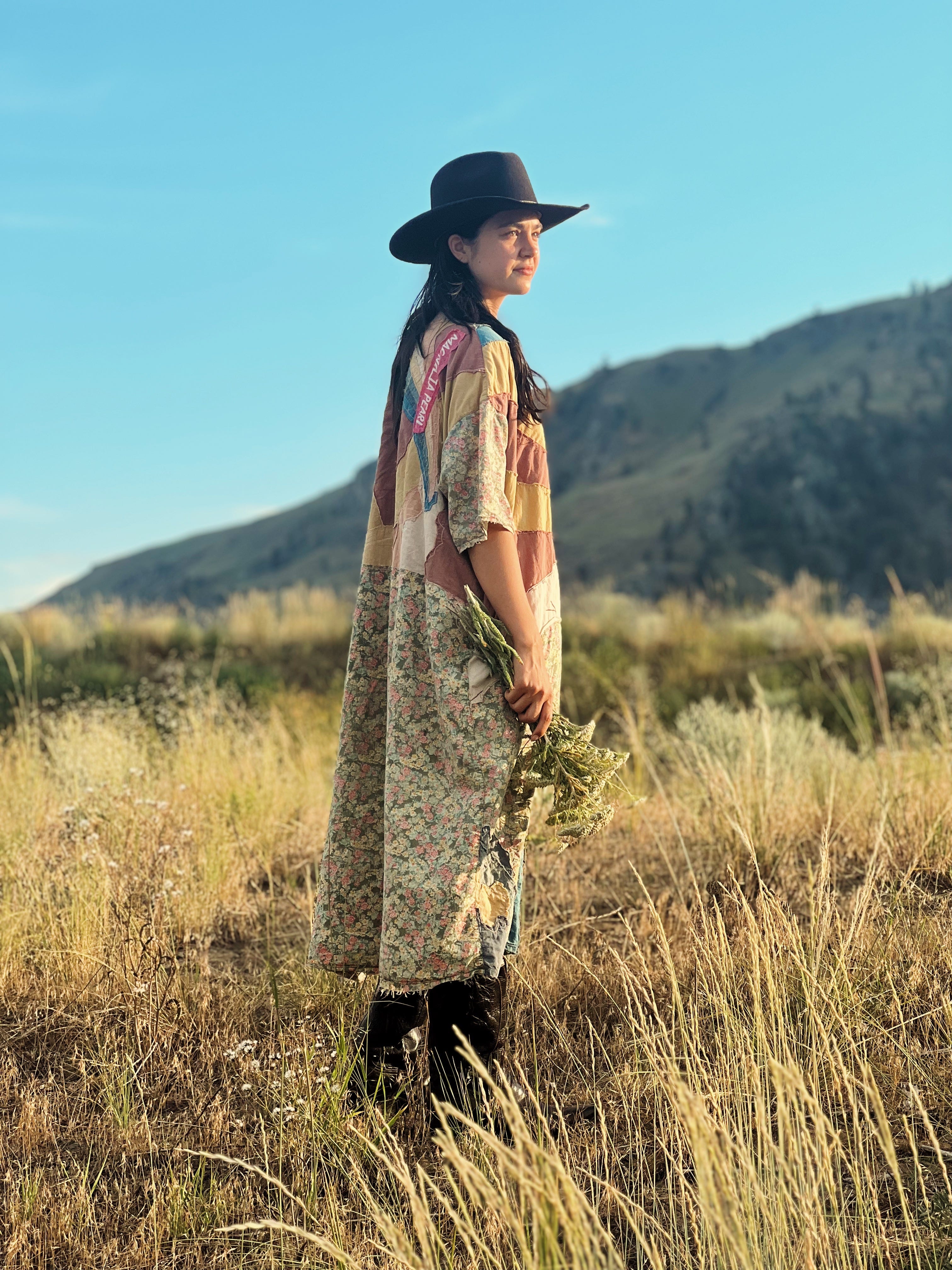 Cassandra Posey | Substack