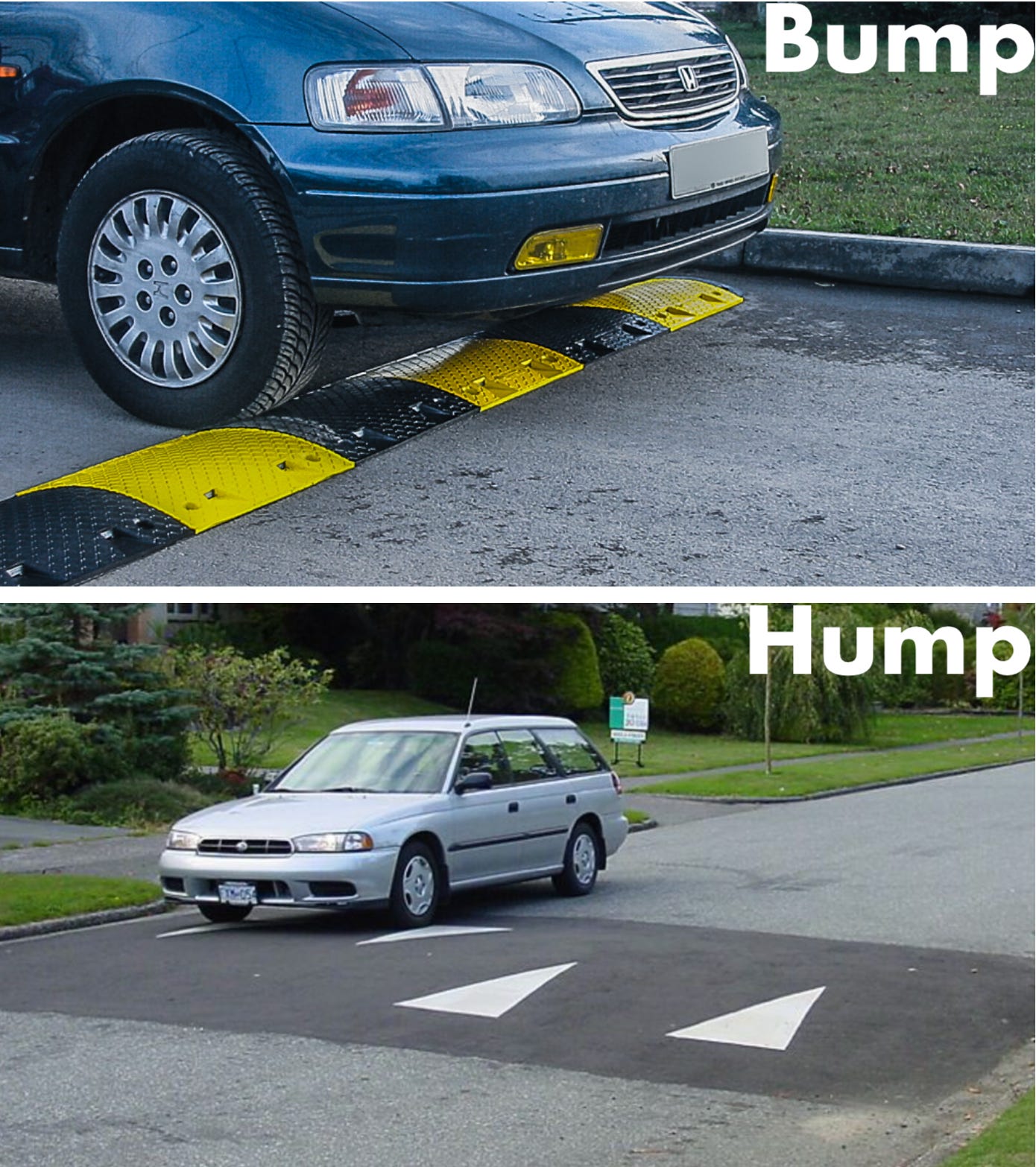 Of Bumps, Humps, and Lumps - by Paul Lukas