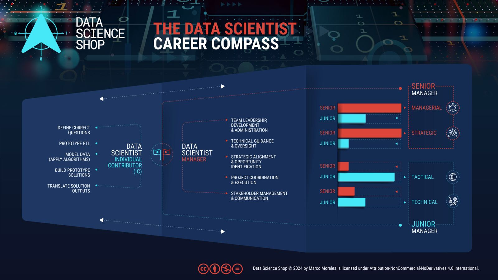 the twin career paths of Data Scientists