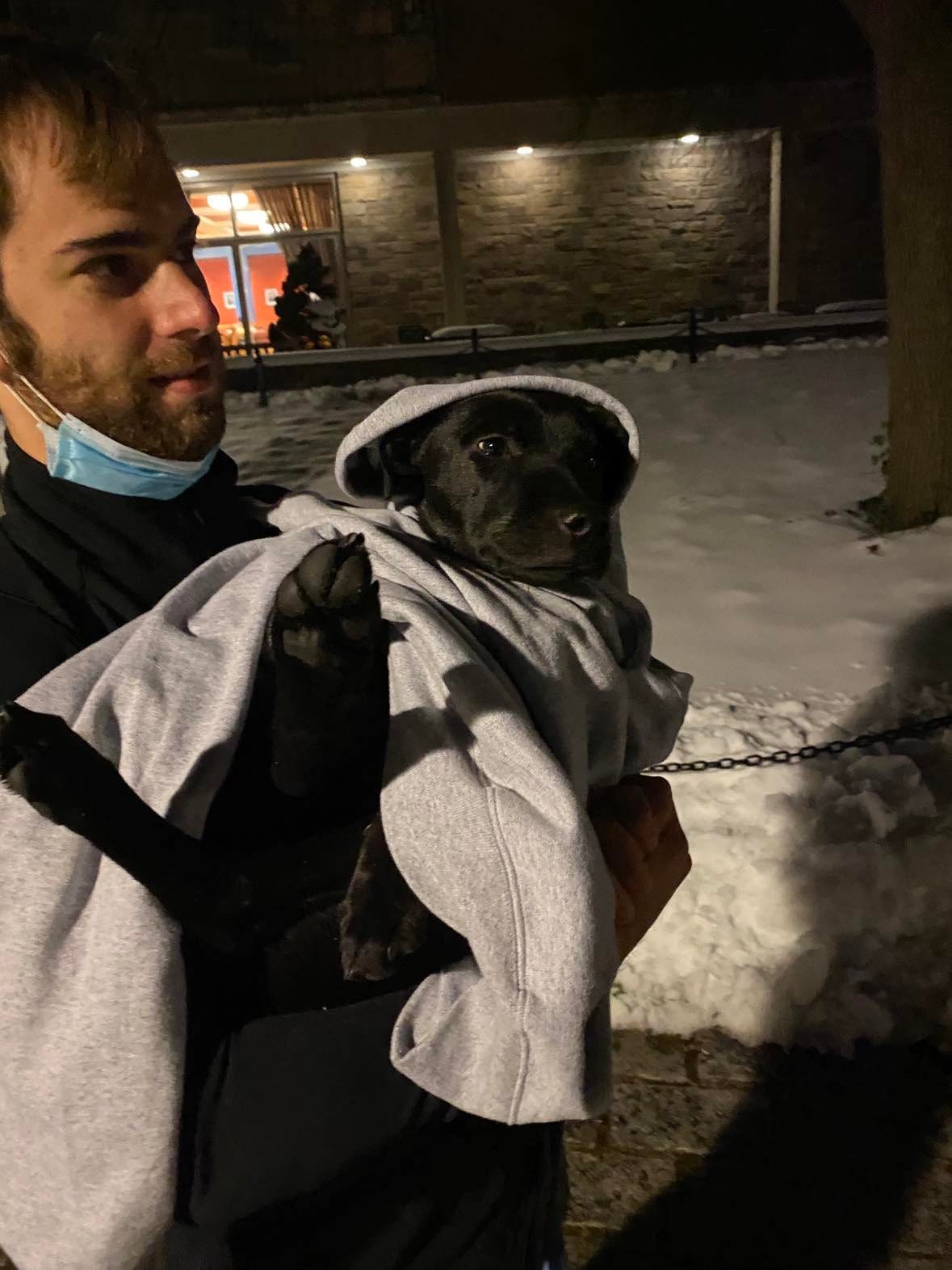 The Tao of Fetch - Trevor Klee’s Newsletter