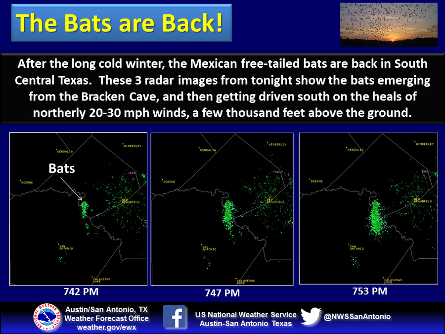 Radar Ornithology - by Aaron Price - Weather with a Twist