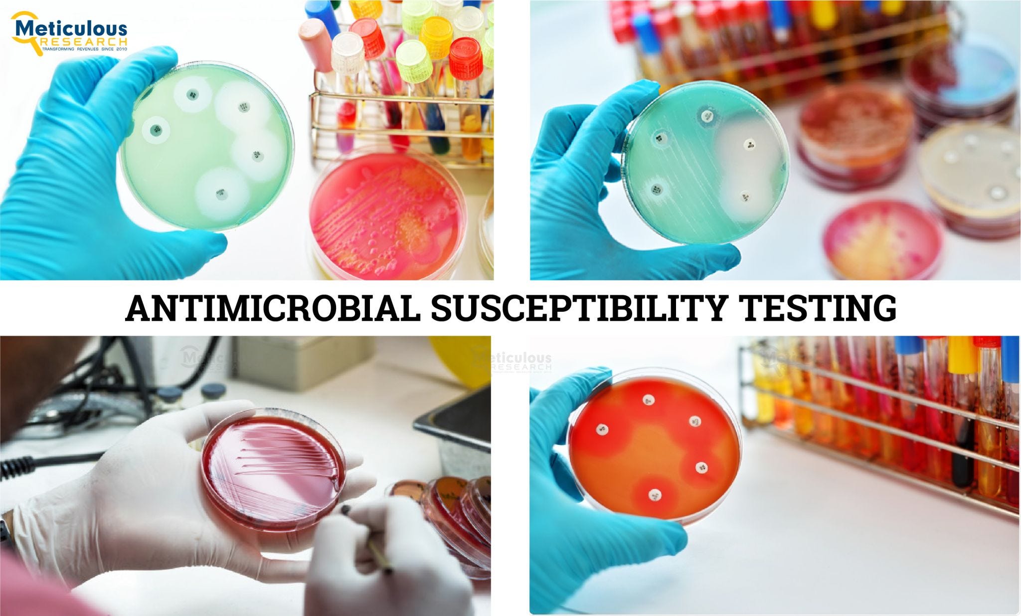 Antimicrobial susceptibility testing (AST)