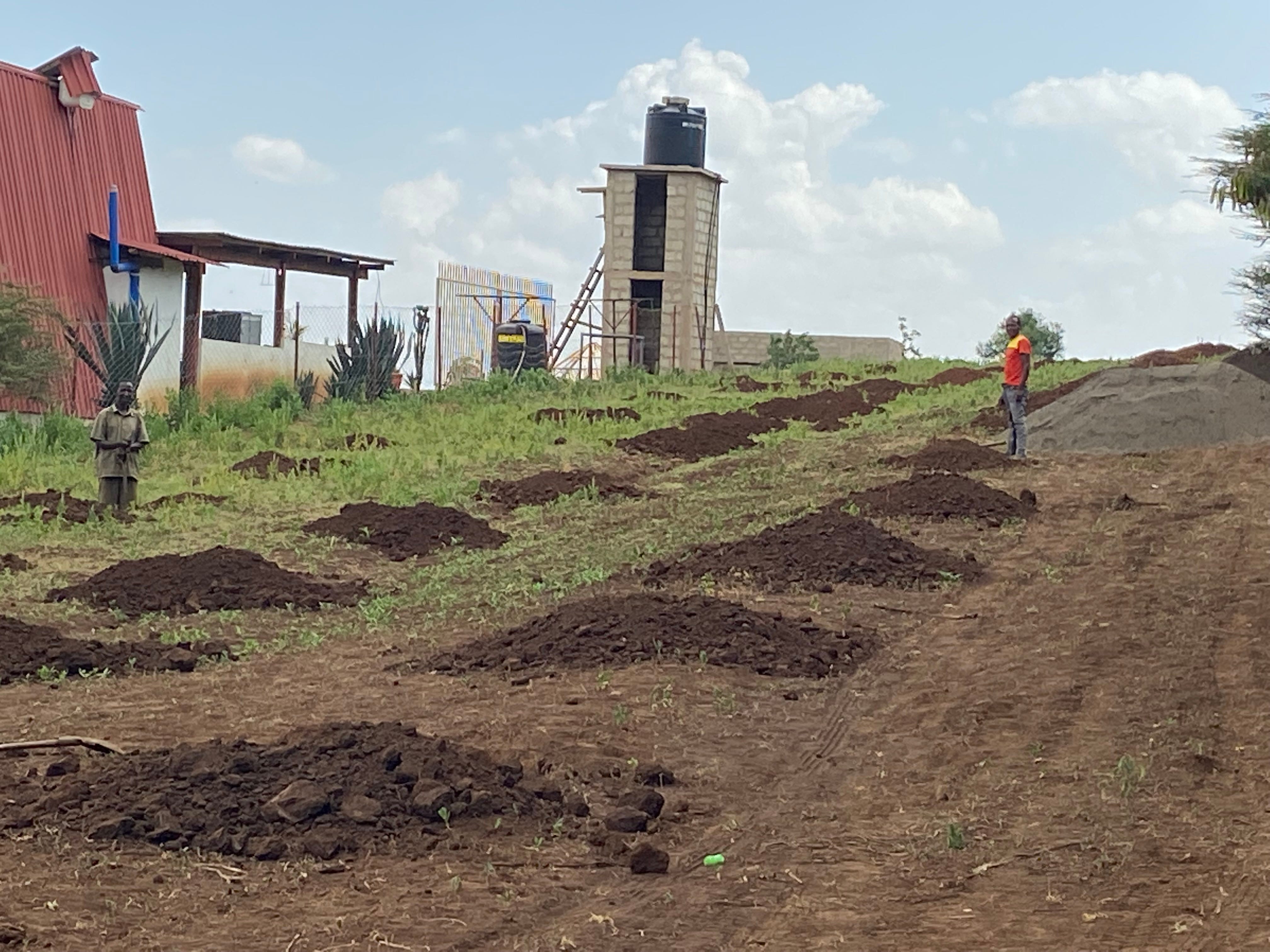Update on the Shamba (farm) - by Jerome Armstrong